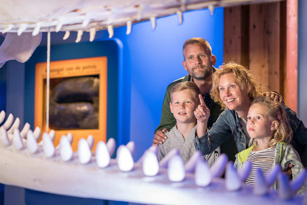 Ecomare | You’ll have the most fun with group activities at De Krim Texel