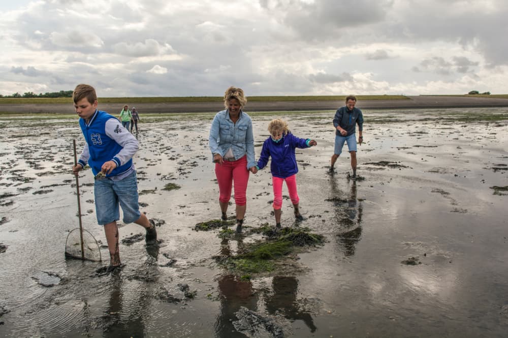 Wadlopen | De leukste groepsactiviteiten vindt u bij De Krim Texel