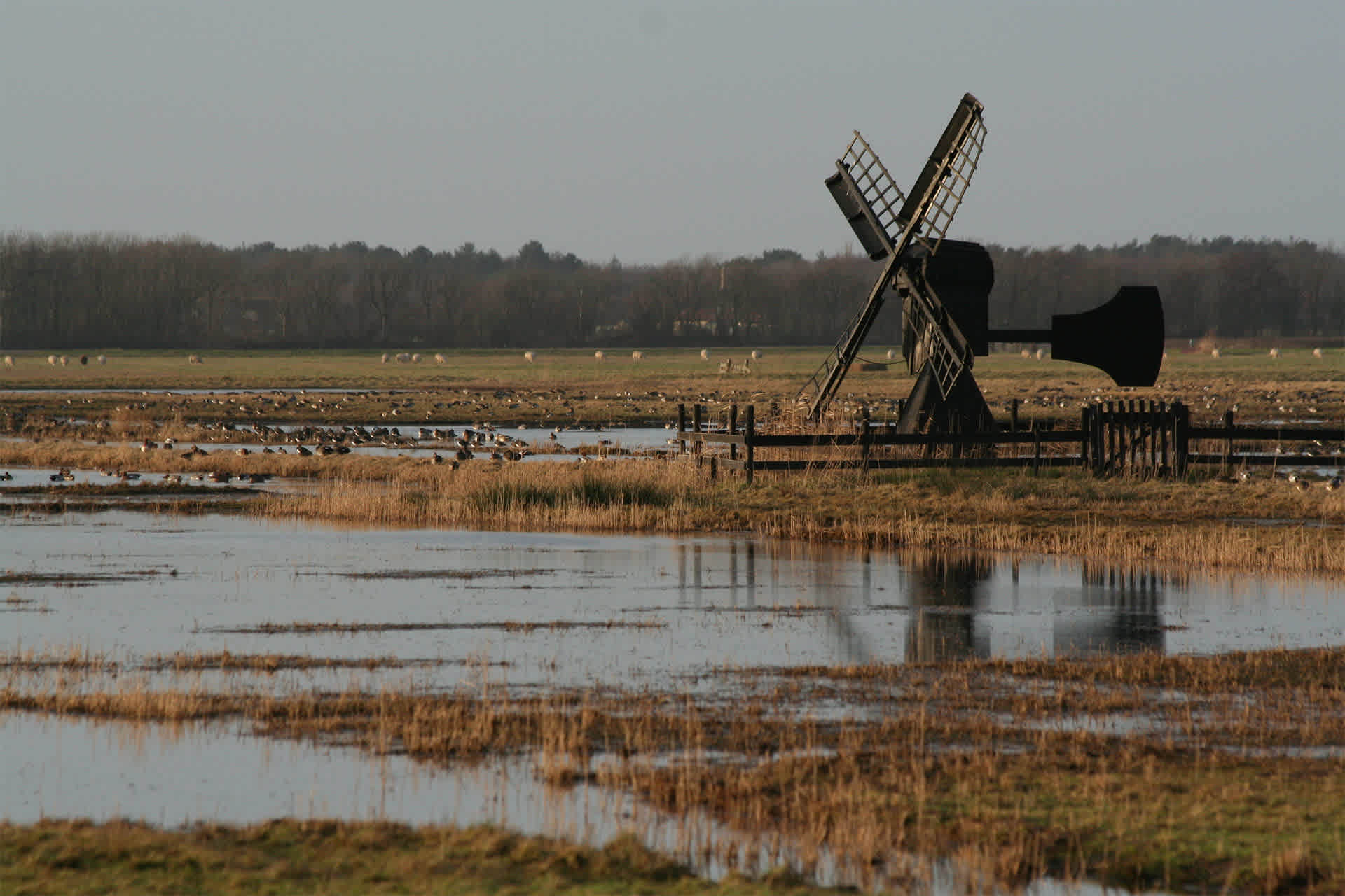 Ontdek wat er te allemaal te doen is in De Waal