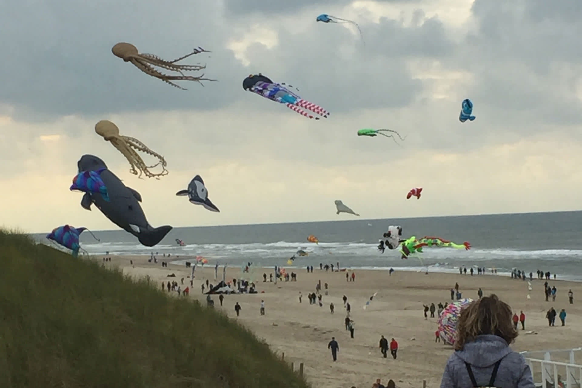 Kite Evening | A Texeltip of De Krim Texel