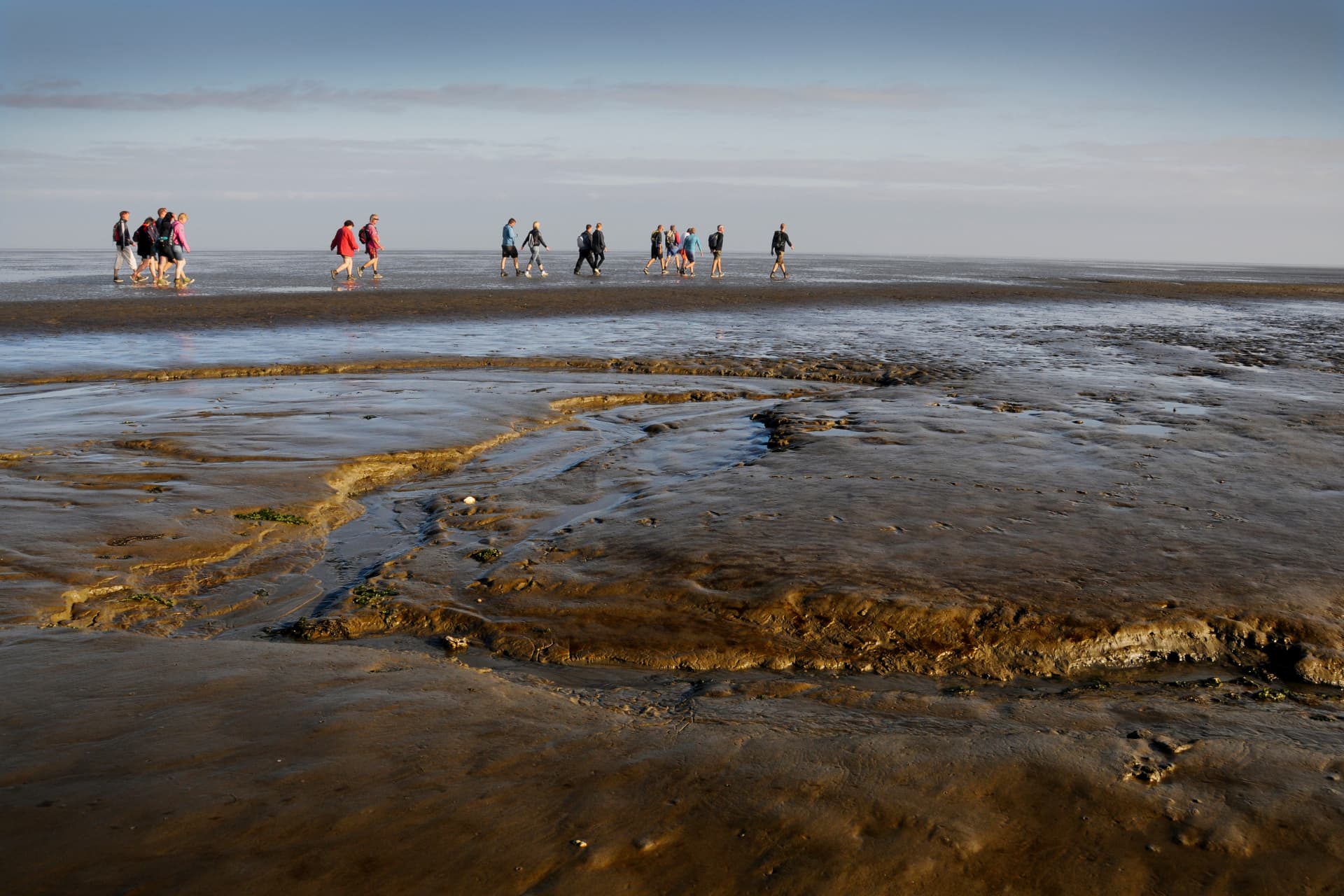 Mudflat excursion | A Texeltip of De Krim Texel